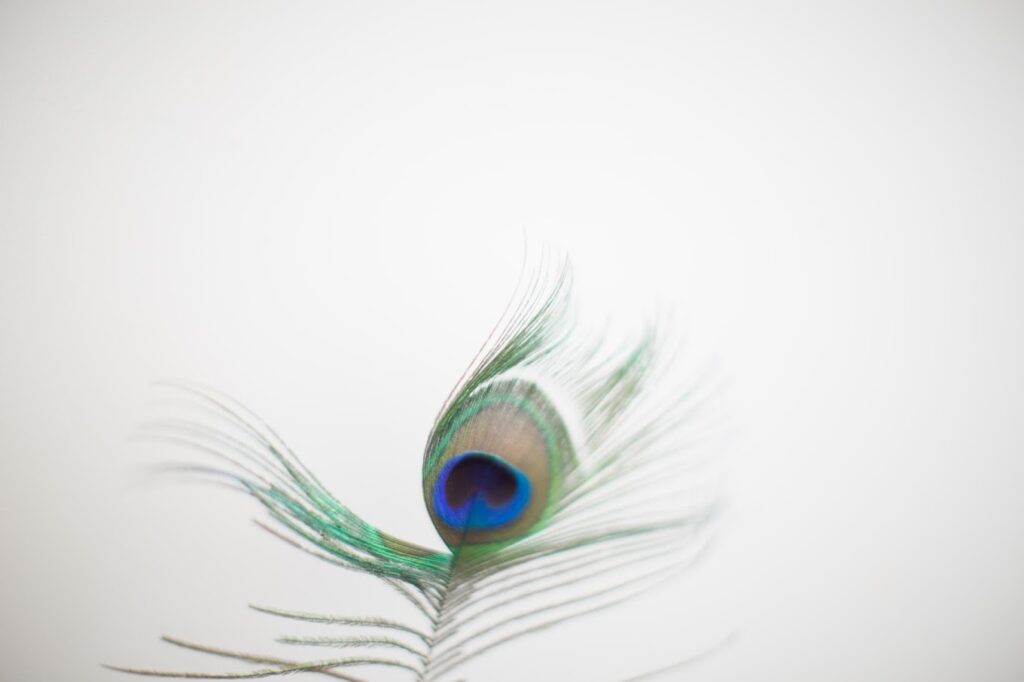 Cabinet Cécile Bouvet-Jacques - Paris 9ème Arrondissement (75009)